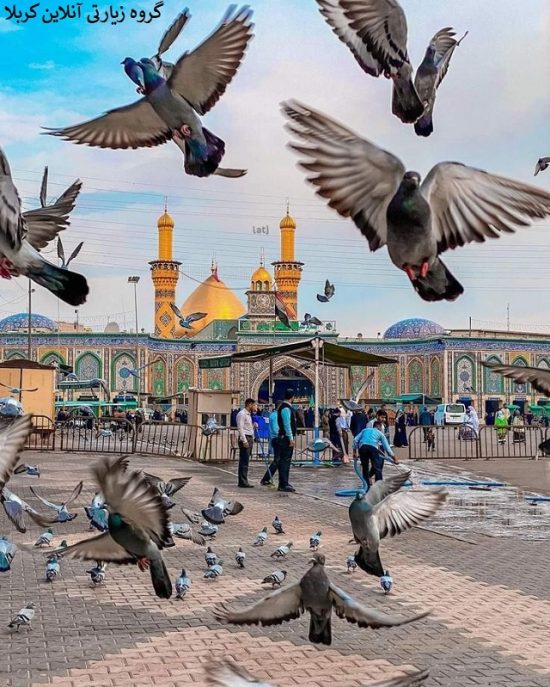 تور کربلا زمینی + ویژه 1404 با ضمانت بهترین قیمت